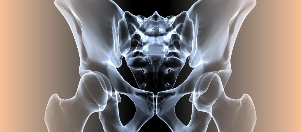 Douleurs fonctionnelles du petit bassin - Osteopedia - le portail web ...