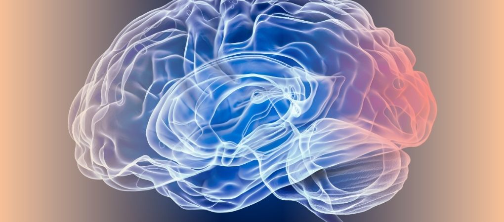 Lésion cérébrale traumatique sévère - Osteopedia - le portail web ...