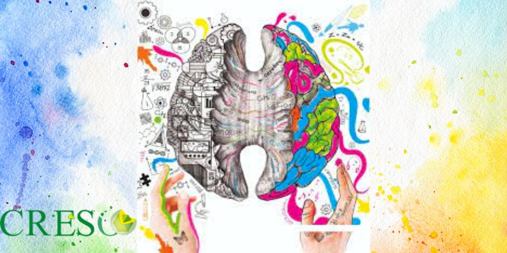 CRESO: Il Codice Osteopatico del Cervello - Roma - Osteopedia - il ...